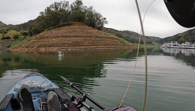 Singlebarbed | Fly fishing the Unloved & Unclean